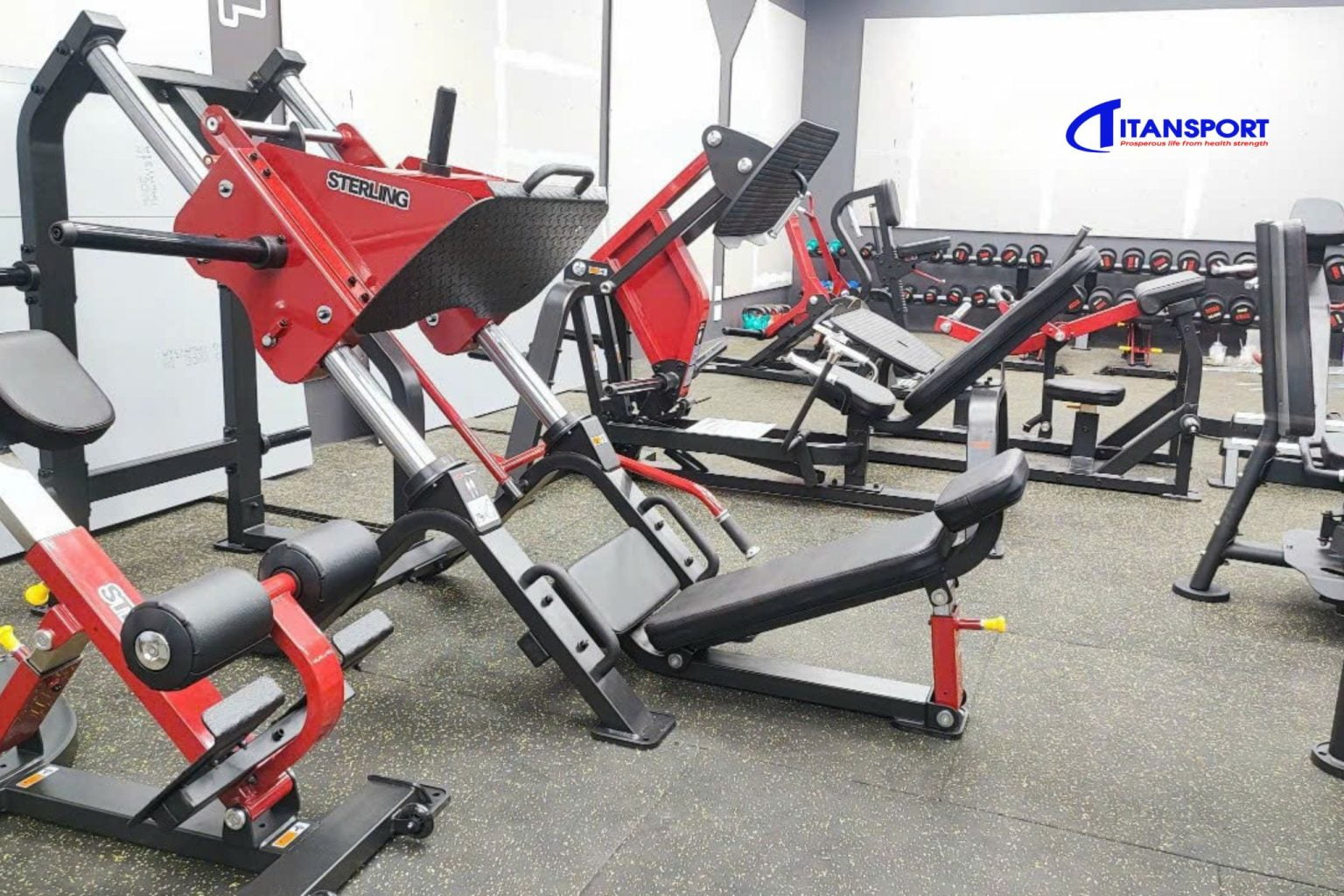 Dự án setup phòng gym Tomorrow Fitness-Yoga