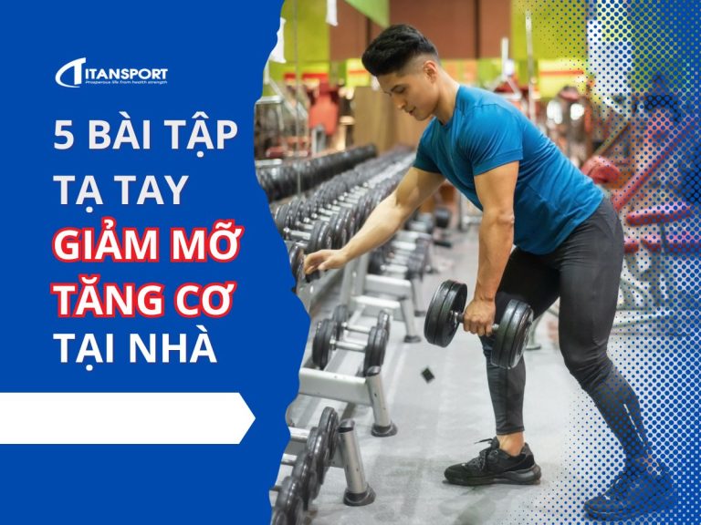 10 Bài Tập Thể Dục Aerobic Tại Nhà Giúp Giảm Mỡ Toàn Thân Hiệu Quả